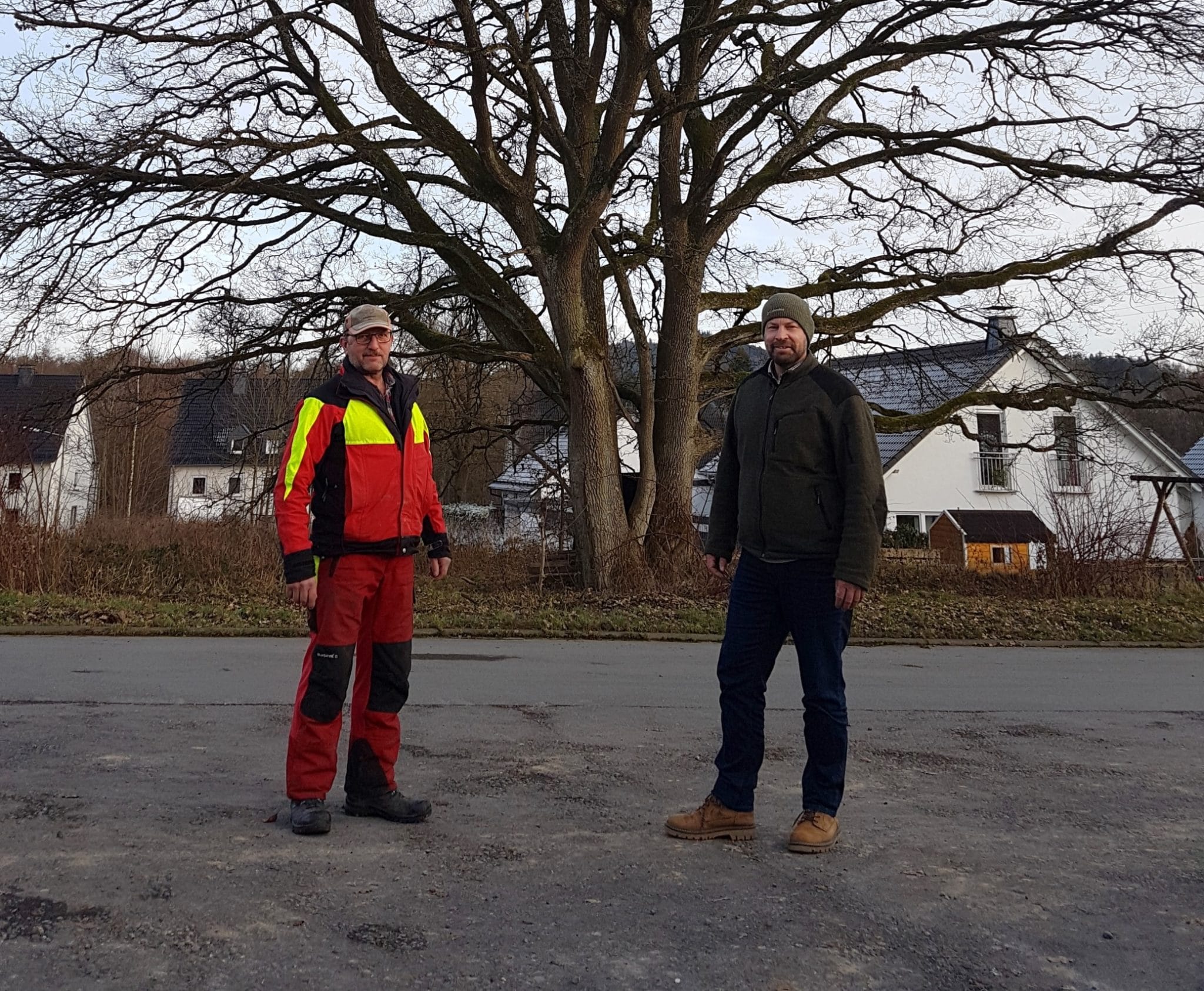 Baumkontrollen in Meschede: „Erhalt und Sicherheit gehören zusammen“